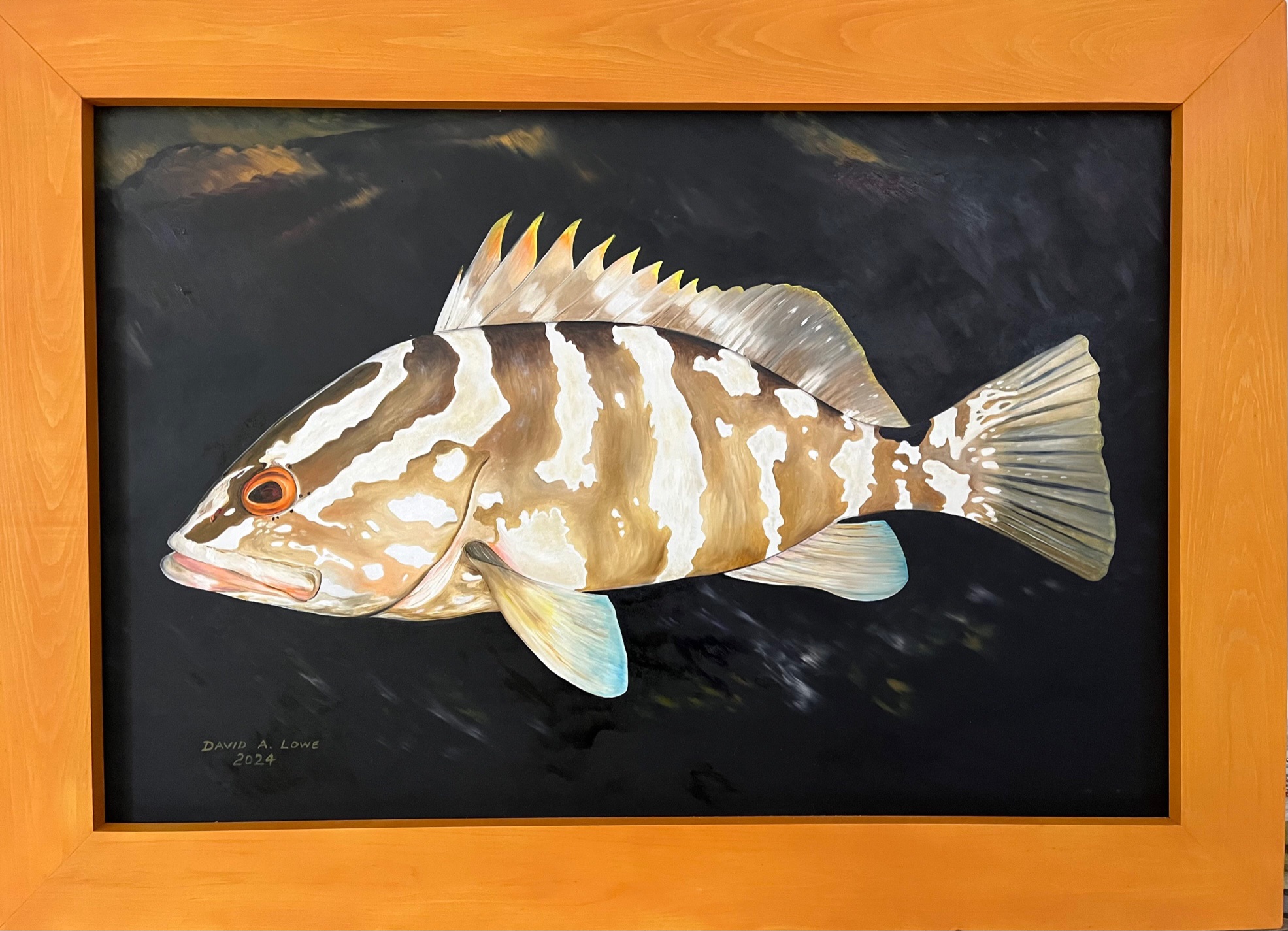 Grouper colors | Daves Oil & Dimensional Art